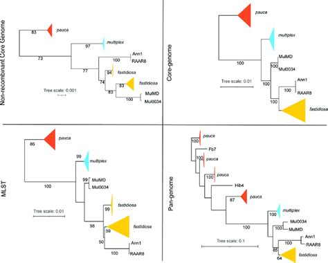 Maximum Likelihood Phylogenies For All Four Genomic Subsets With N Download Scientific