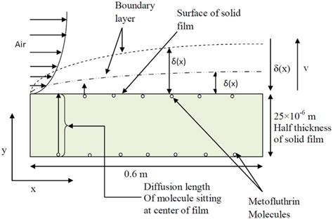 Formation Of Boundary Layer On The Film Surface Download Scientific Diagram