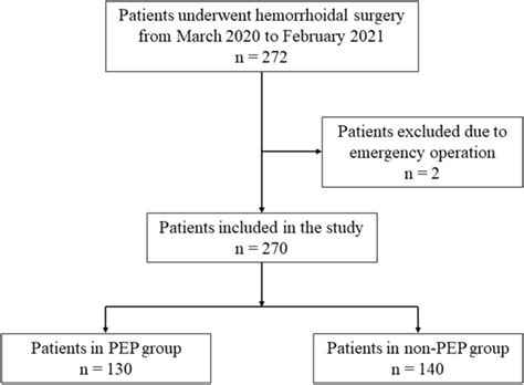 The Flow Chart Demonstrating Number Of Patients And Reason Of