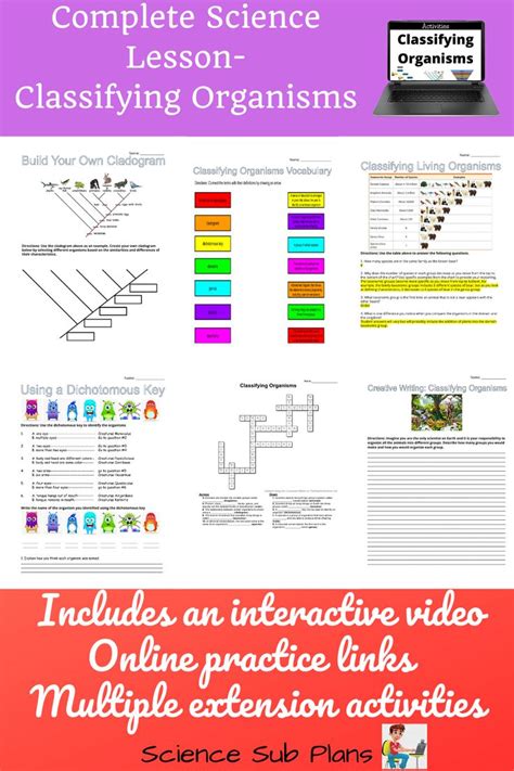 Classifying Organisms Interactive Video And Extension Activities