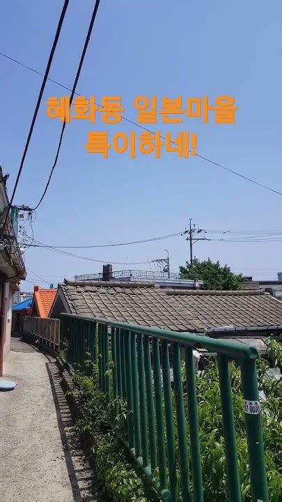 혜화동 일본마을 특이하네 재미있는 Shorts 시골집 옛날집 오지마을 부동산 여행 한옥 골동품 Youtube