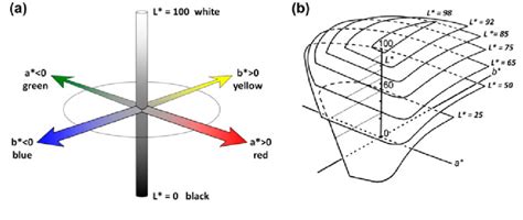 A Cie Lab 1976 Colour Coordinates System B Limits Of The Optimal Download Scientific