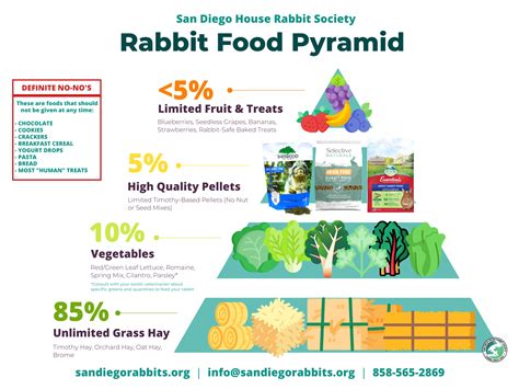 Providing A Healthy Rabbit Diet — San Diego House Rabbit Society