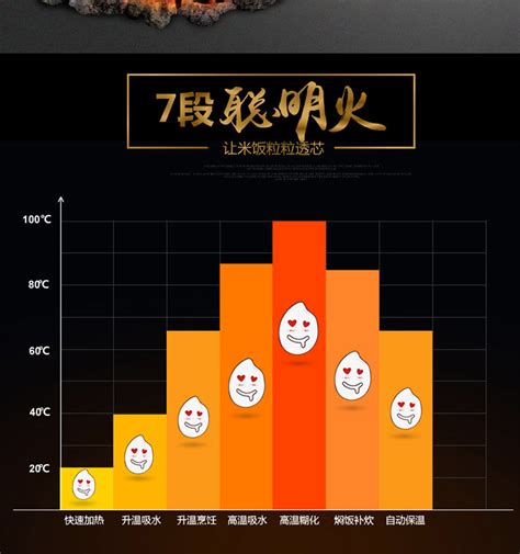 110V伏紫砂锅电饭煲4L 电饭锅 压力锅 瞰海船舶电器
