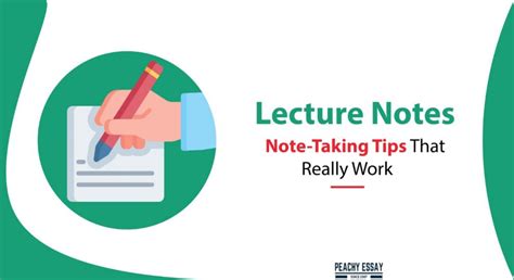 Lecture Notes Note Taking Tips For University Students