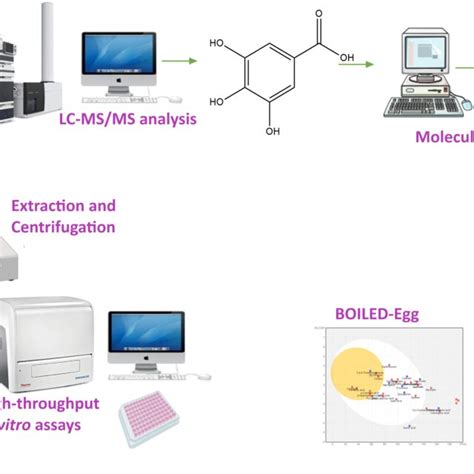 Heatmap Hierarchical Clustering Of Quantified Phenolic Compounds In