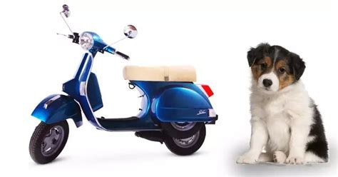 10 Forgotten Scooters And Motorcycles From Lml