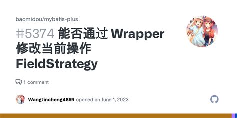 能否通过 Wrapper 修改当前操作 Fieldstrategy · Issue 5374 · Baomidoumybatis Plus