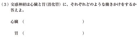 高校生物基礎自律神経交感神経副交感神経 練習編 映像授業のTry IT トライイット