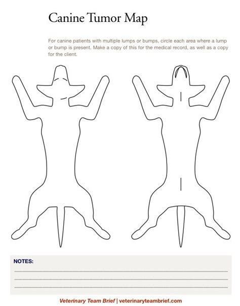 Printable Canine Body Map