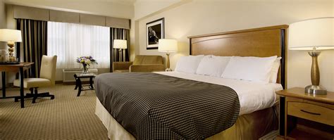 Cincinnati Bengals Vs Miami Dolphins Suite