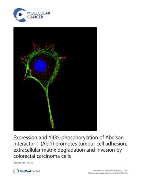 Pdf Expression And Y435 Phosphorylation Of Abelson Interactor 1 Abi1 Promotes Tumour Cell