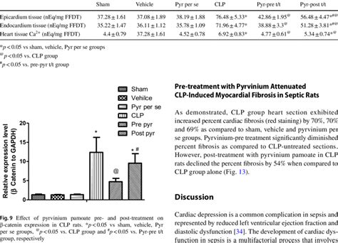 Effects Of Pyrvinium Treatment On Calcium Ca 2 Concentrations In
