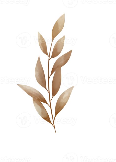 Leaf Line Art 18128829 Png
