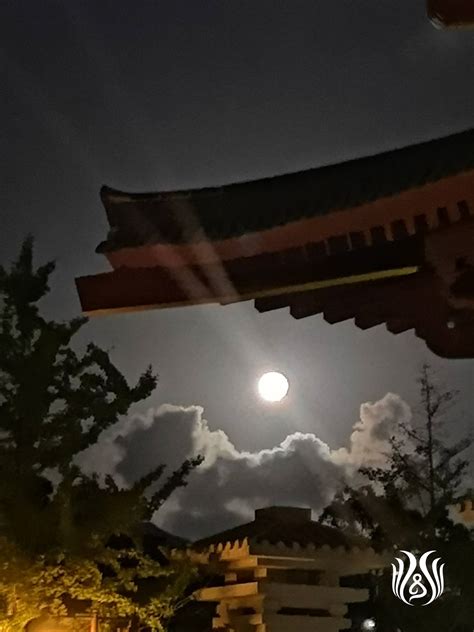 弘一法师诗词鉴赏一〇三