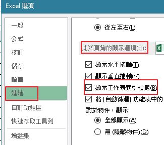 IT Log 期權賠錢全記錄 Excel 下方的分頁頁籤不見了