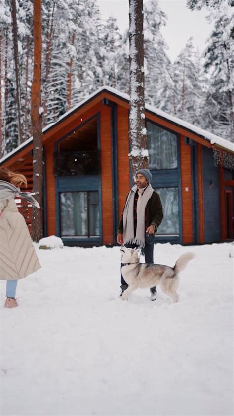 가족 개 개를 산책시키다 걷고 있는 걷기 검은색 겨울 겨울 옷 경치 계절 공원 나무 날씨 날짜 남성 남자 낭만적인 눈 눈이 내리는 눈이