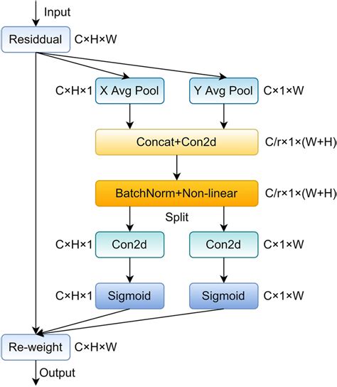 Schematic Diagram Of Ca Structure Download Scientific Diagram