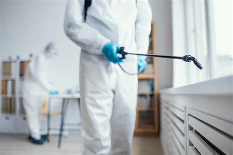 Pest Control Vs Exterminators Understanding The Differences General