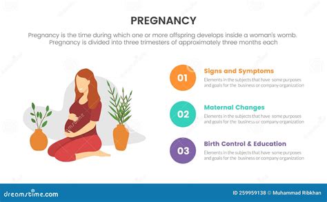 Pregnancy Infographic Concept For Slide Presentation With 3 Point List