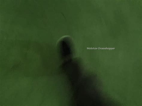 Molotov Grasshopper