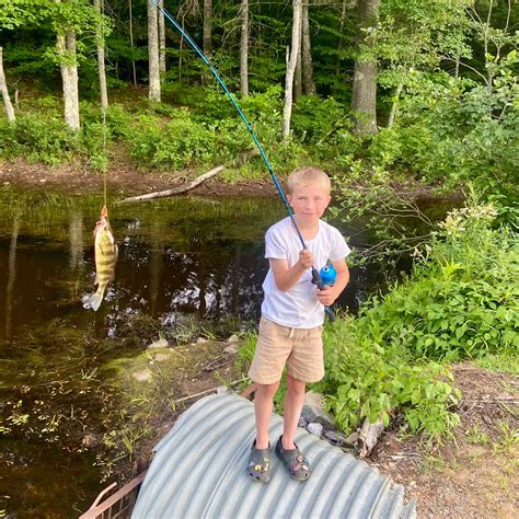 Milton Three Ponds Fishing Reports🎣• Rochester Me United States