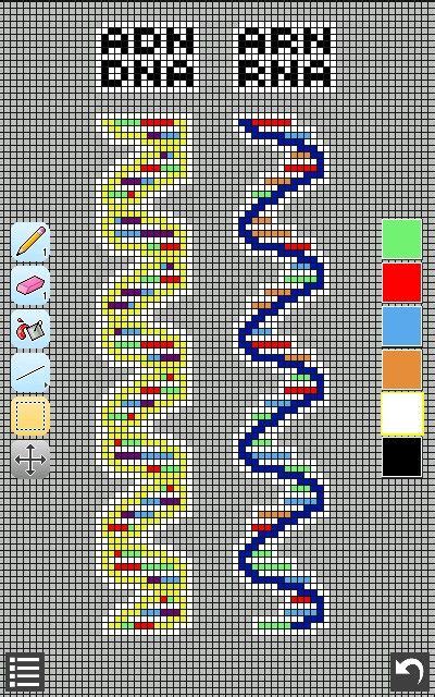 My DNA RNA Hama Pattern Perler Crafts Loom Beading Perler Beads