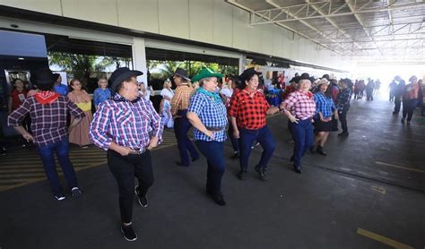 Aleam Assembleia Legislativa Do Estado Do Amazonas