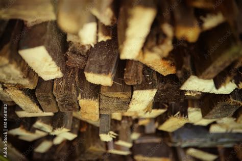 Chopped Wood Logs Stacked In Forest Woodlands Renewable Green Biomass