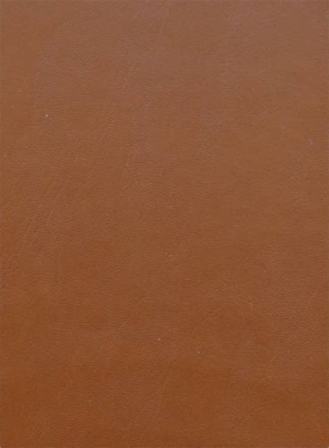 7033 Kurtuluş Sünger