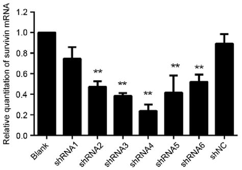 Quantitative Representation Of Survivin Mrna Levels Shrnas Were