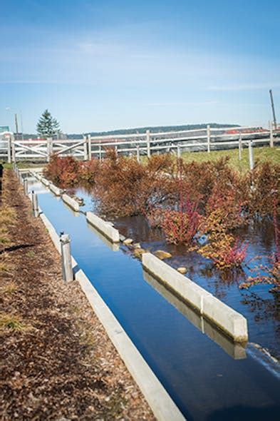 Protecting Puget Sound Stormwater Solutions