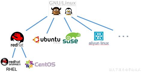 linux linux虚拟设备 csdn博客