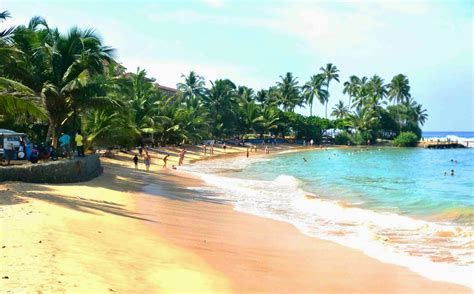 Hikkaduwa Beach And National Park ~ Ideas In Action Digital Tab