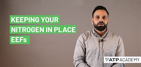 Keeping Your Nitrogen In Place Enhanced Efficiency Fertilizers Eefs