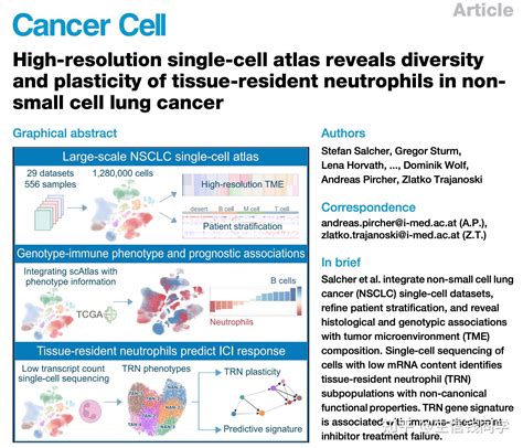 大规模单细胞测序图谱，优秀python代码分享 知乎