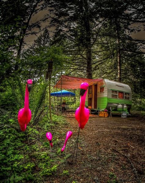 Best Images About Campers RVers With Pink Flamingos On Pinterest Vintage Campers Retro