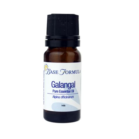 100 Pure Galangal Alpinia Officinarum Essential Oil
