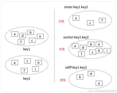 【redis篇】set和zset 有序集合基本使用redis Set Spop Csdn博客