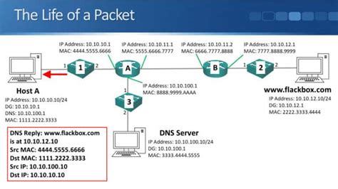 Cisco The Life Of A Packet Flackbox