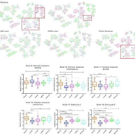 Breast Cancer Network By Breast Cancer Molecular Subtypes A Detail Of Download Scientific