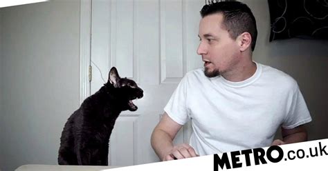 Talking Kitty Cat Youtube Star Steve Cash Dies Aged 40 Metro News