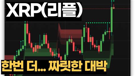 엑스알피 한번 더 짜릿한 대박을 만들수 있는 코인 지금 가장 중요한 한가지 이것만 지키시면 됩니다 엑스알피 Xrp 리플 엑스알피대응 엑스알피분석 엑스알피심훈