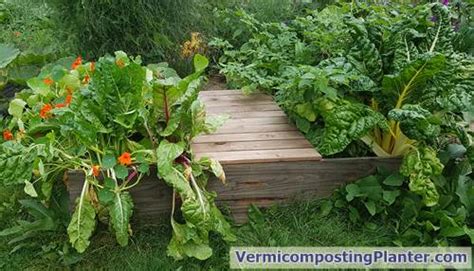Super Simple Vermicomposting Planter 9 28 17 Red Worm Composting
