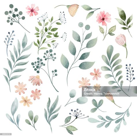 수채화 식물 요소 세트에는 다양한 녹색 잎 꽃 및 가지가 포함됩니다 독특한 카드 일러스트레이션 및 패턴을 만드는 데 이상적입니다 생생한 색상과 미묘한 디테일은 프로젝트에