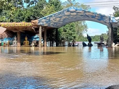 ขนลุก พญานาคเล่นน้ำ ริมน้ำมูล ภาพสุดขลังหลังวัดป่าปากโดมโดนน้ำท่วม