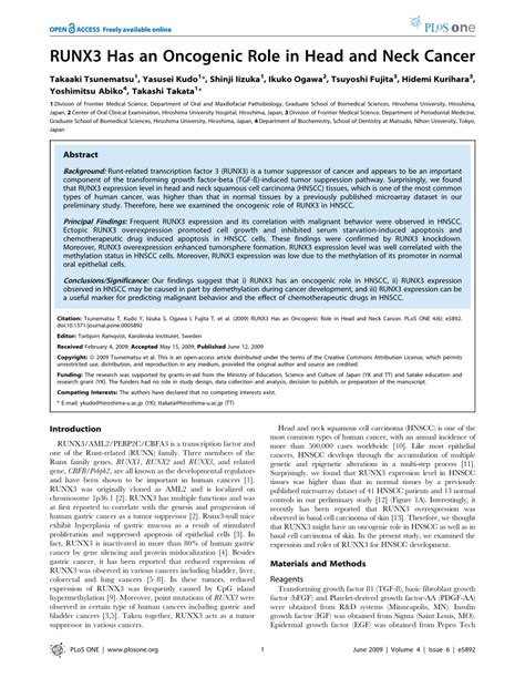 pdf runx3 has an oncogenic role in head and neck cancer