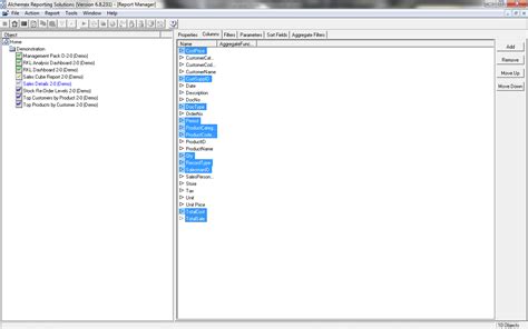 Selecting Multiple Columns Image Sage Intelligence