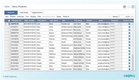 Maintain Data Integrity With Consistent Data Types Using Caspio S Online Database
