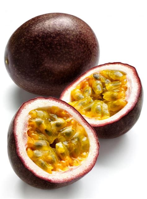 Passion Fruit Vine Purple Possum Variety